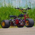 Royal Gold Rim (Platinum Edition) Mini Trike – Mini bike kartel/Mini ...