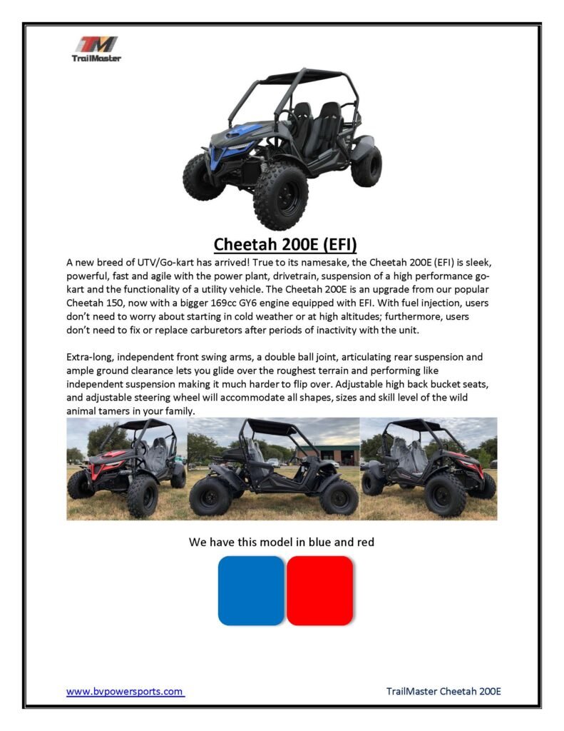 Trailmaster Cheetah 200E Off Road UTV / Go Kart / Fuel Injected ...