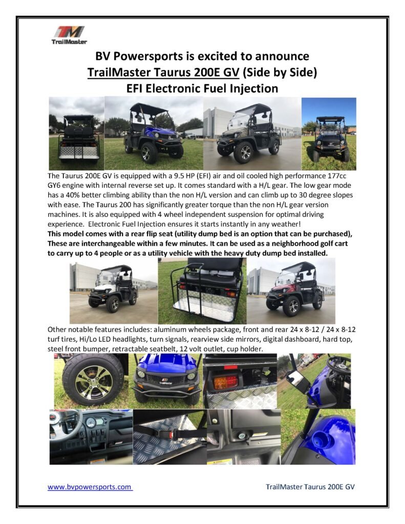 TrailMaster Taurus 200E-GV UTV / Golf Cart / side-by-side Fuel Injected ...