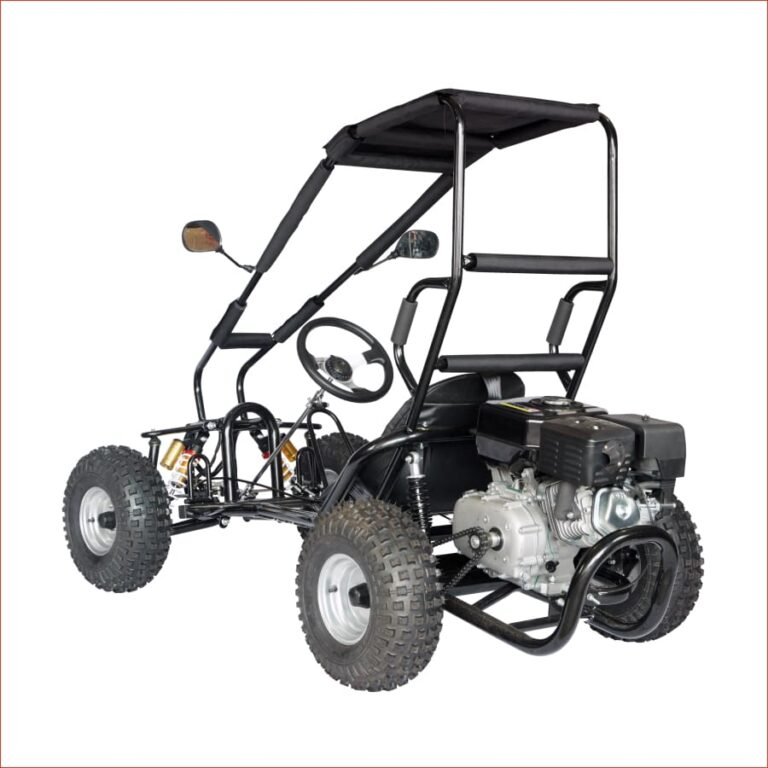 Custom mini bikes/Custom mini bike/Mini bike trike/Drift trike