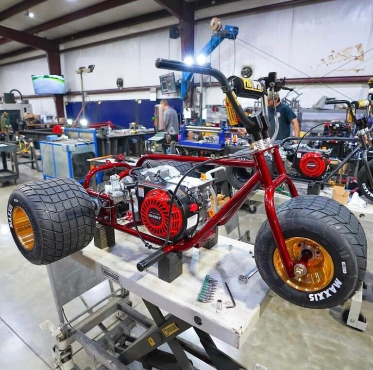 Royal Gold Rim (Platinum Edition) Mini Trike – Mini bike kartel/Mini ...