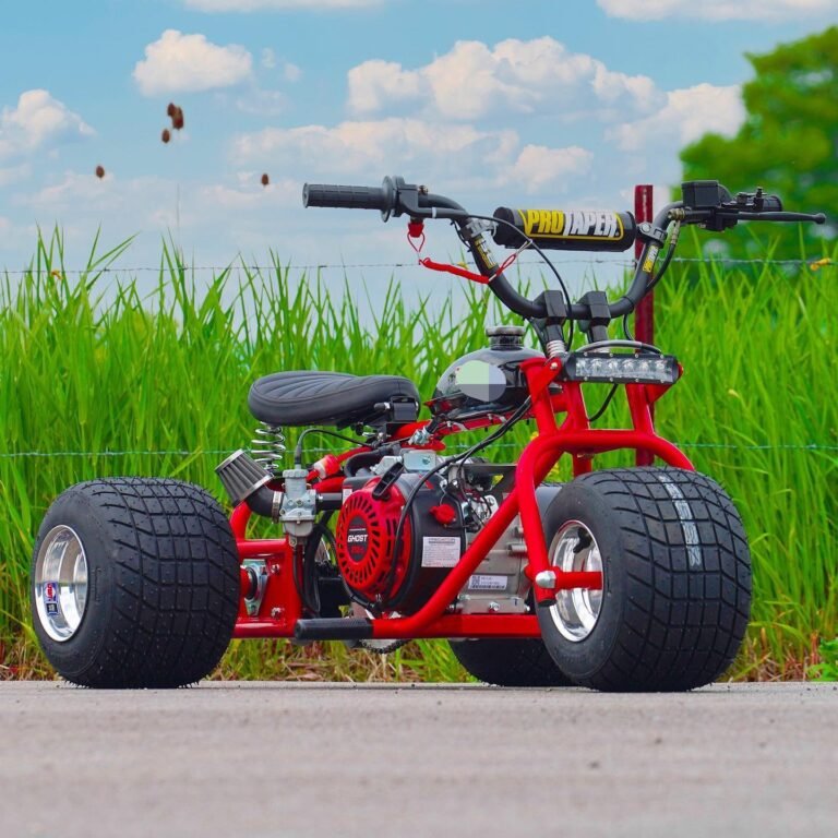 Astatic Red (Platinum Edition) Mini Trike – Mini bike kartel/Mini trike ...