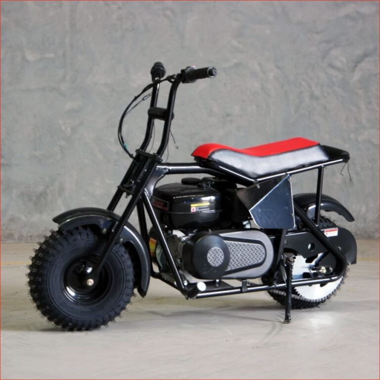 Custom mini bikes - Custom mini bike - Mini bike trike - Drift trike