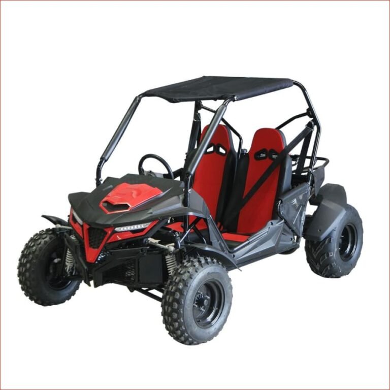 Custom mini bikes/Custom mini bike/Mini bike trike/Drift trike